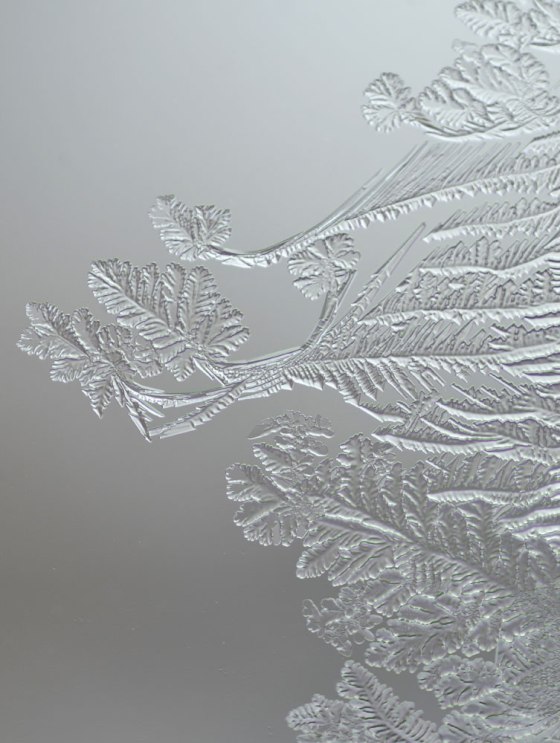 Window Frost Details – draw and shoot