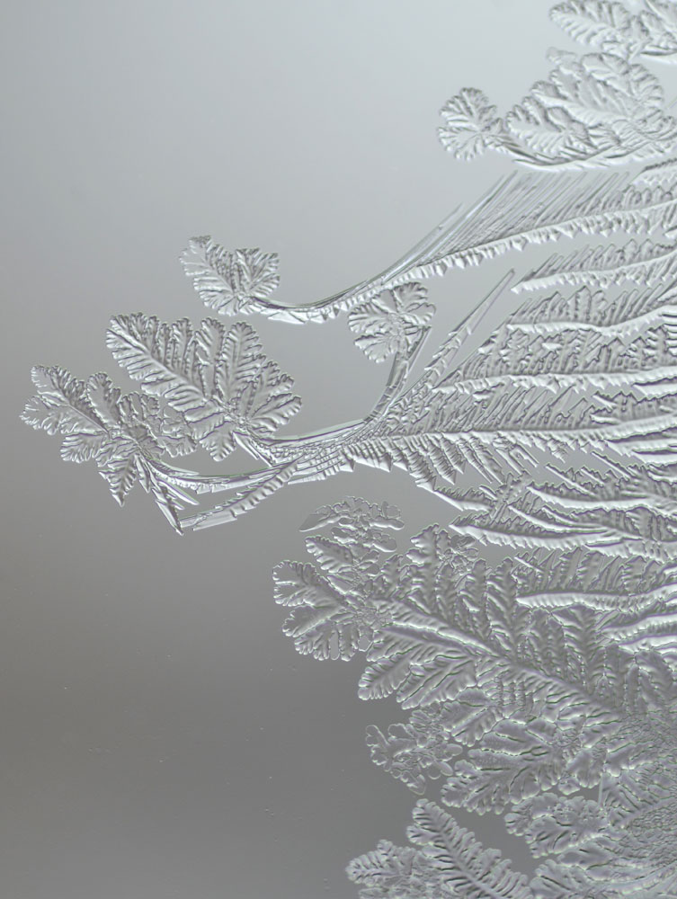 Window Frost Details – draw and shoot