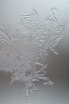 Window Frost Details – draw and shoot