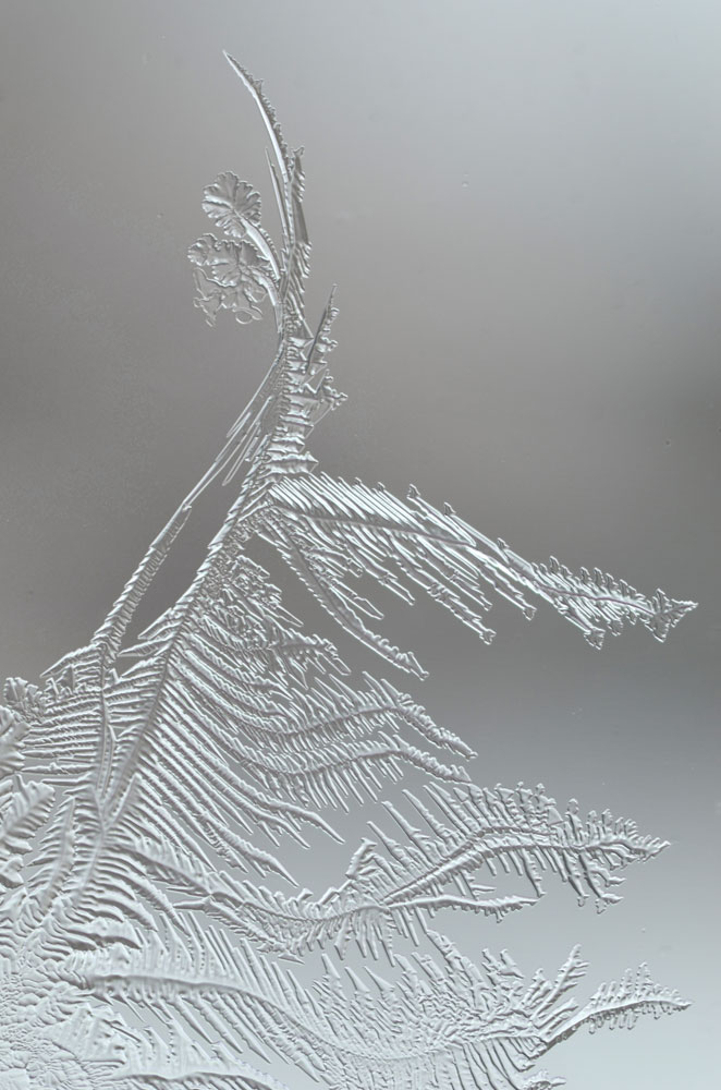 Window Frost Details – draw and shoot