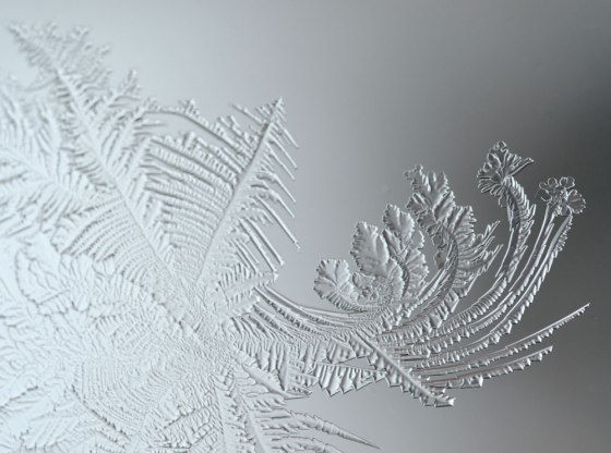 Window Frost Details – draw and shoot