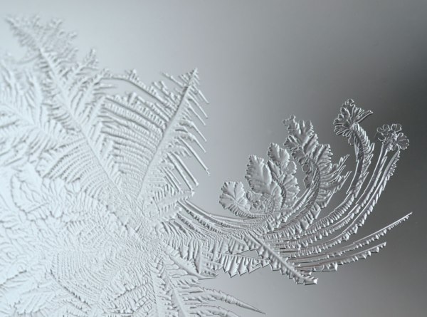 Window Frost Details – draw and shoot