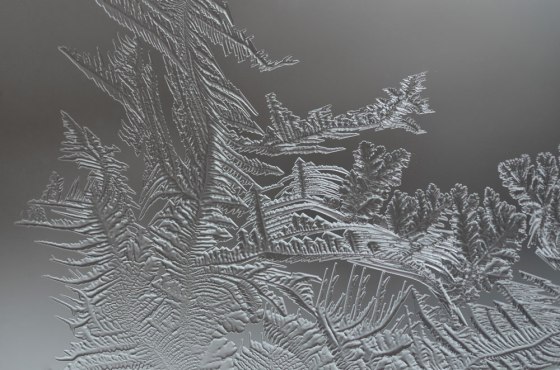 Window Frost Details – draw and shoot
