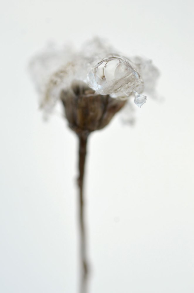 freezing rain – draw and shoot