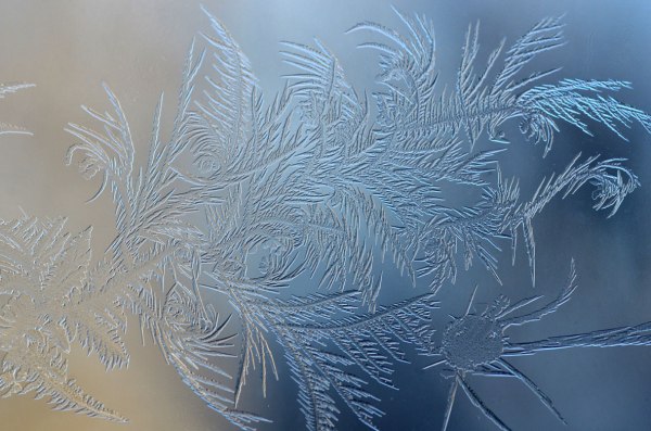 window frost – draw and shoot