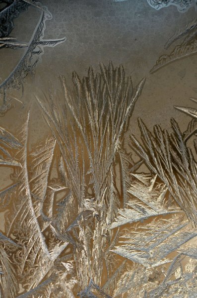 window frost – draw and shoot